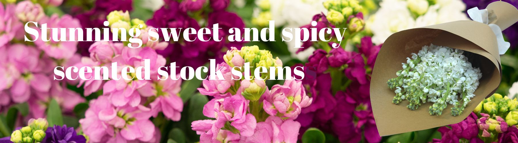Sobeys North Bay Flowers | Best Flower Site